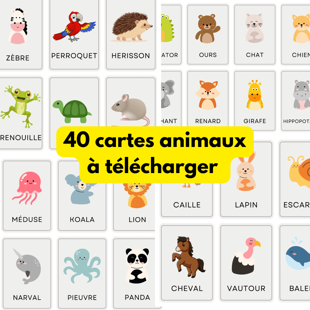 40 cartes animaux à télécharger - Ecole Positive