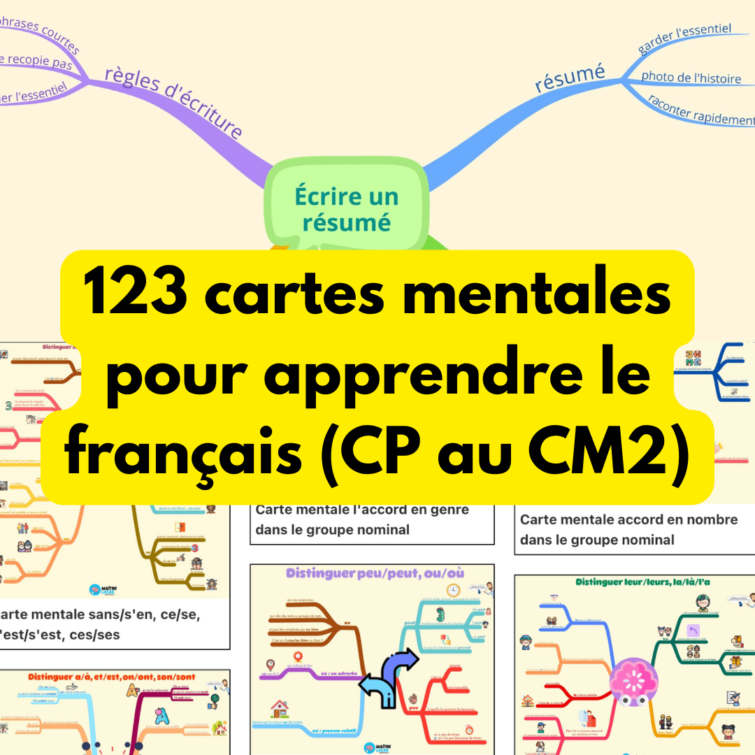 123 cartes mentales en français pour apprendre autrement - Ecole Positive