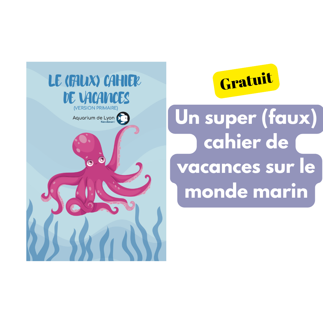 Un cahier de vacances ludique et éducatif à télécharger gratuitement ...